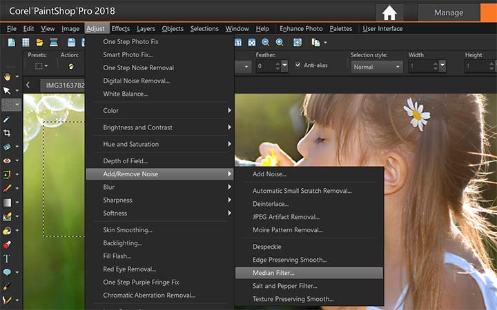 How To Remove Noise From Image In PaintShop Pro