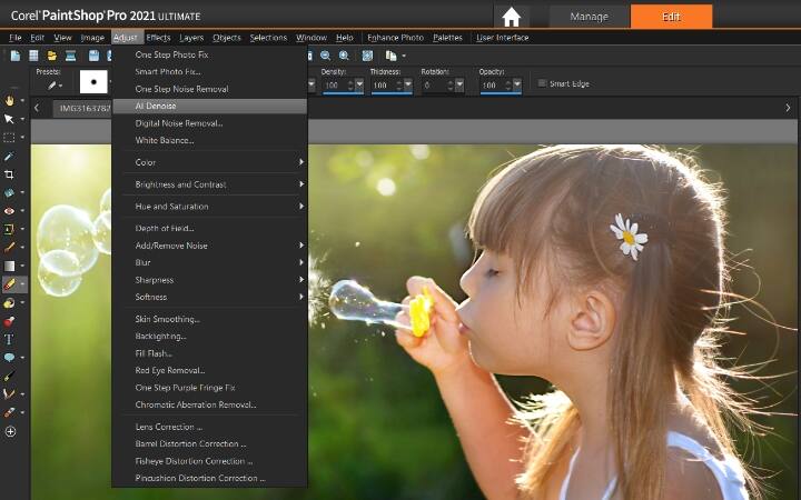 How To Remove Noise From Image In PaintShop Pro